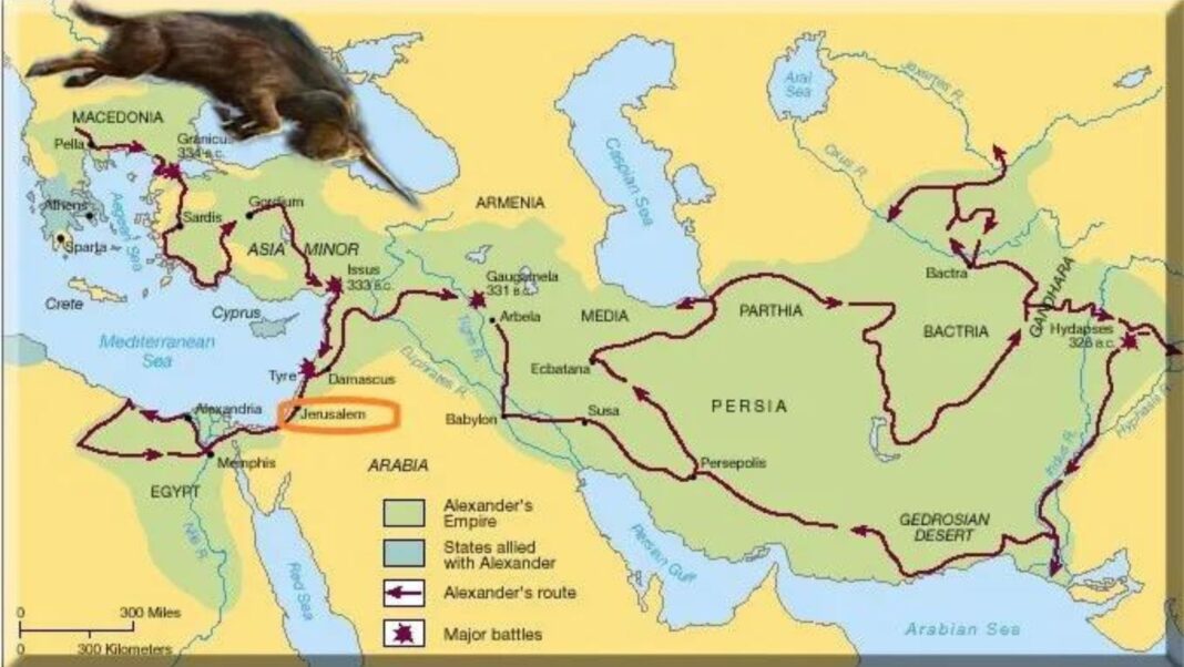 Alexander the Great's Tactics | AncientPedia