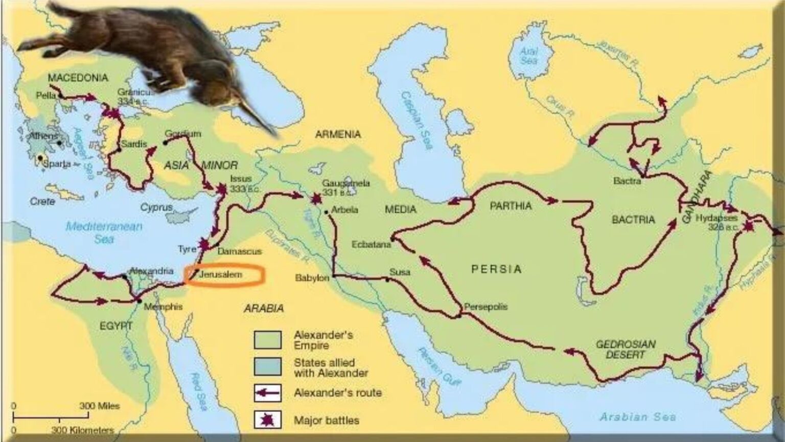 Alexander the Great's Tactics | AncientPedia