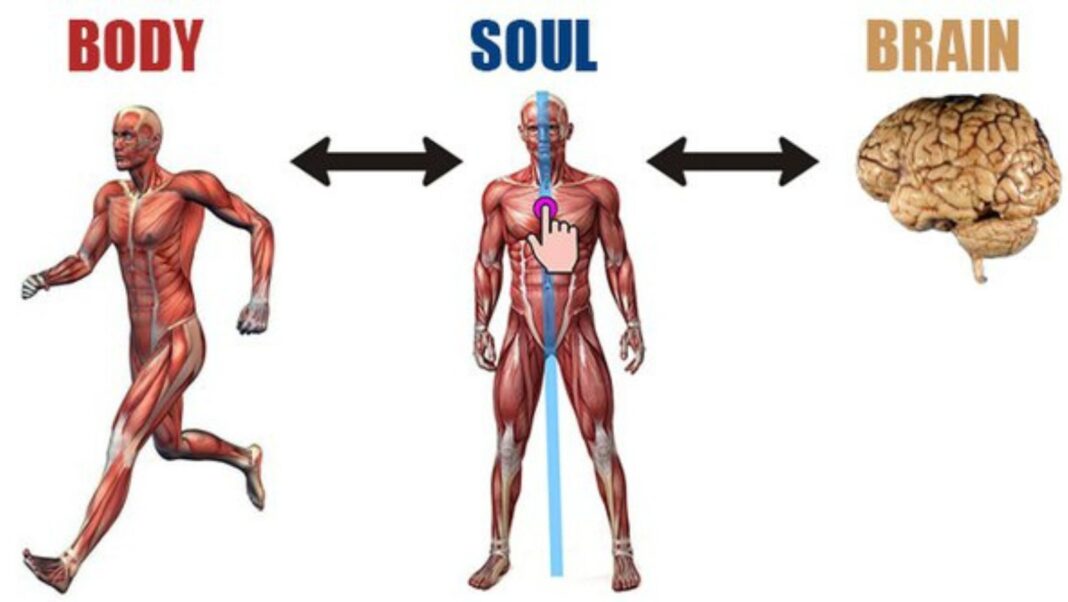 Exploring Aristotle on the Soul | AncientPedia