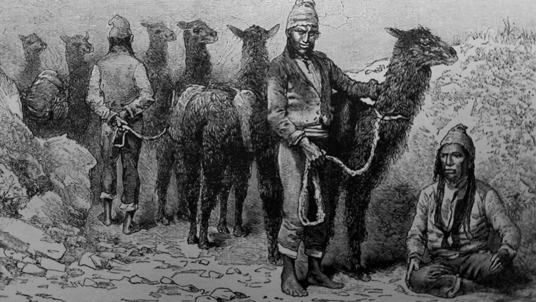 Ancient Maya Trade Networks that Shaped Its Society