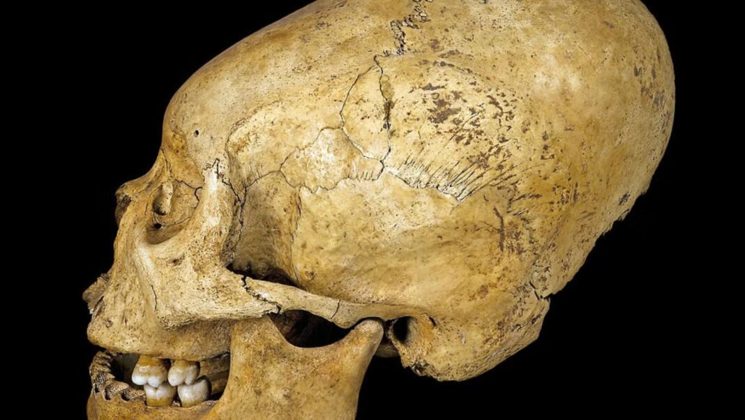 Why the Maya Practiced Cranial Shaping: An Exploration