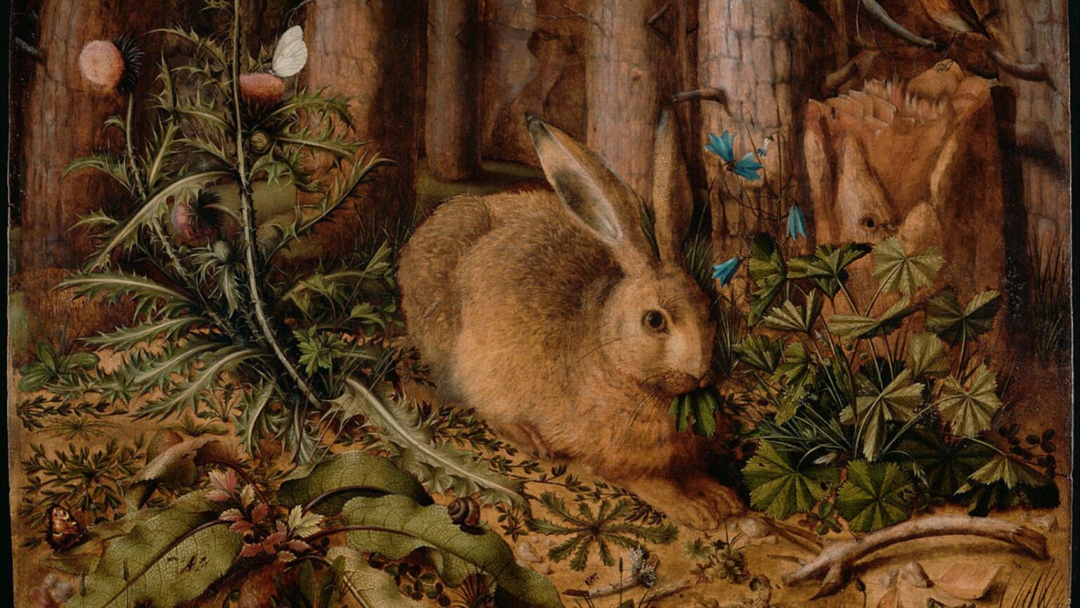 The Easter Bunny: Odd Origins of a Beloved Figure