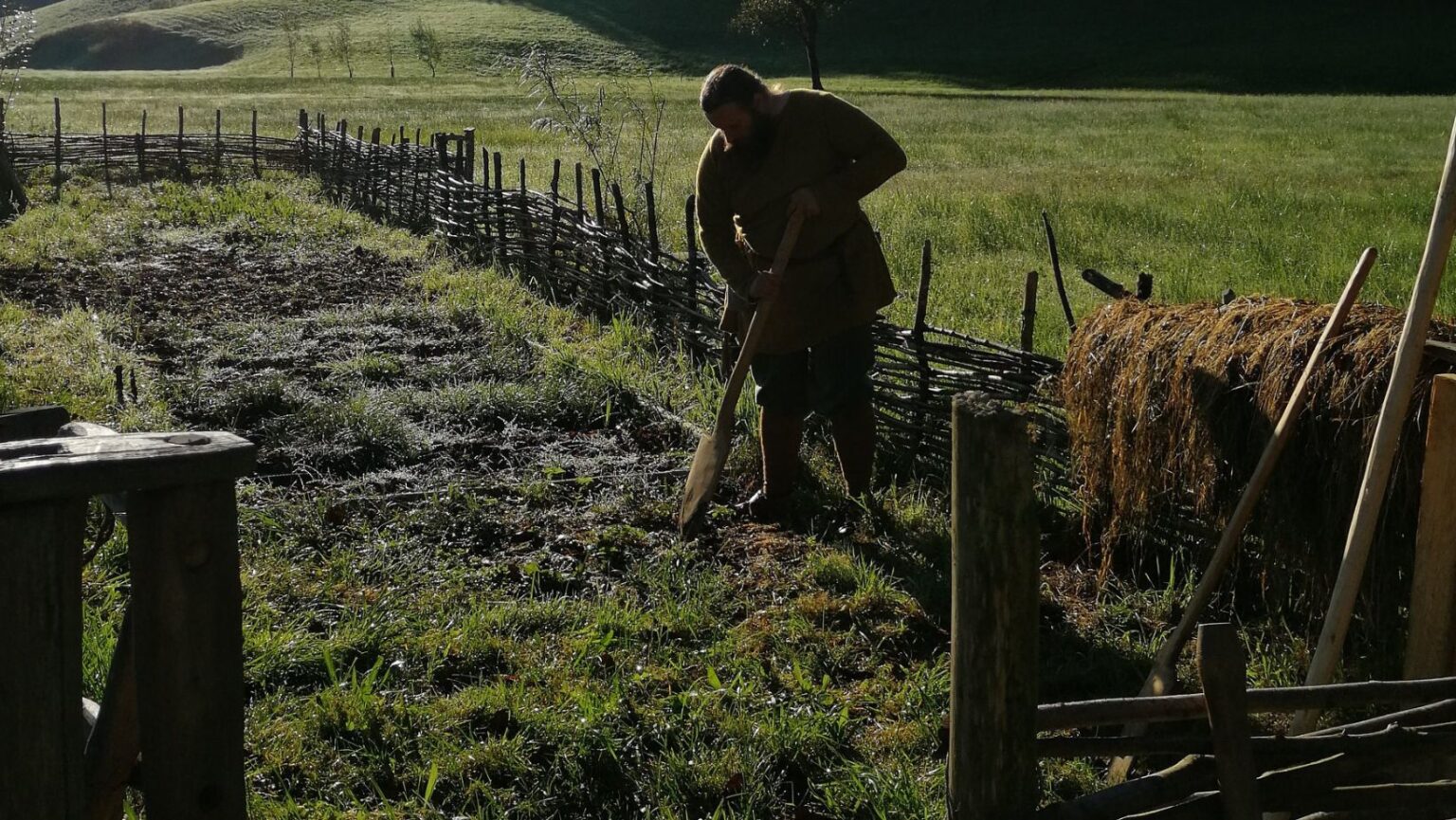 Viking Economic Strategies: From Plunder to Prosperity