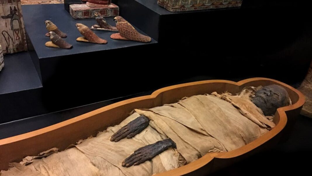 The Art of Mummification: Preserving Life After Death