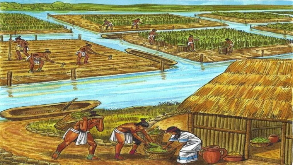 Maya World: Customs, Traditions, and Social Structure