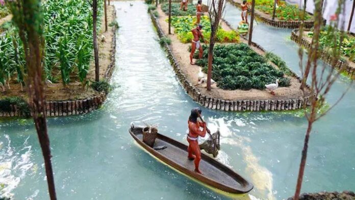 Agriculture and Innovation: Farming Techniques of Maya