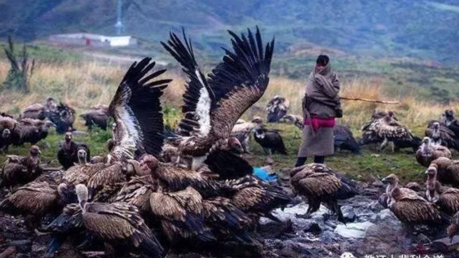 Tibetan Sky Burials: Sacred Funerary Traditions