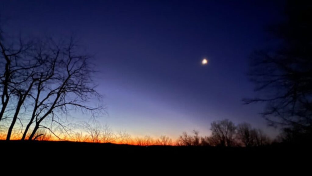 Maya Astronomy: How the Stars Guided an Ancient Civilization