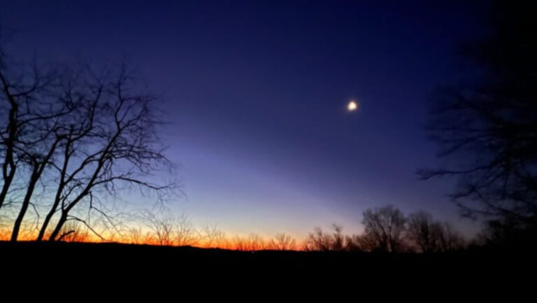 Maya Astronomy: How the Stars Guided an Ancient Civilization