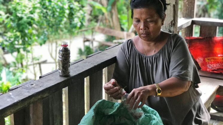 Mayan Medicine and Healing: An Ancient Practices