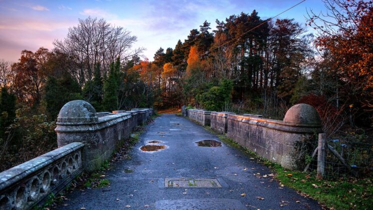 The Overtoun Bridge: A Scottish Spot Where Dogs Mysteriously