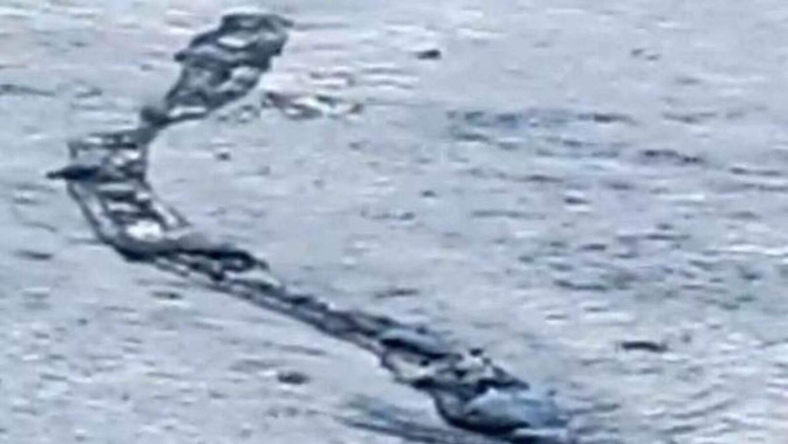 The Lagarfljót Worm: Iceland’s Serpent in the Lake | Ancient