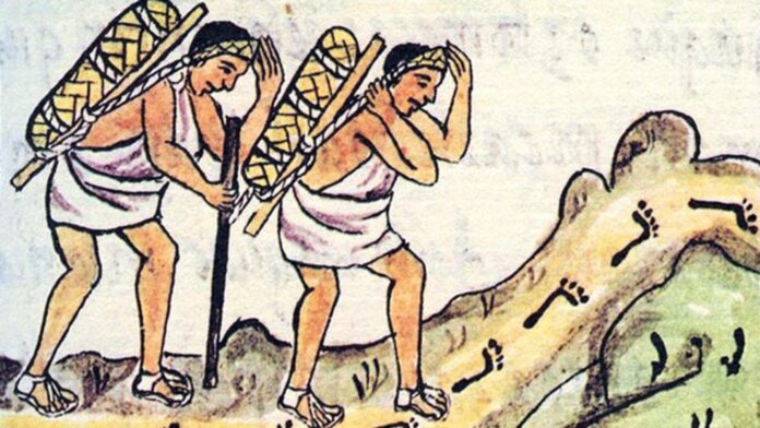 Aztec Trade and Economy: How the Empire Thrived and Expanded