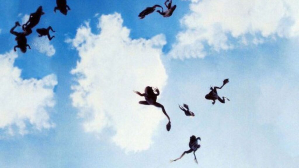 Raining Animals: What Causes This Strange Phenomenon?