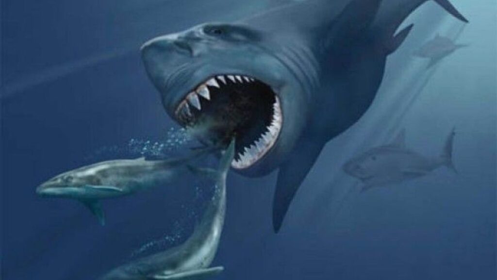 Megalodon: Could the Prehistoric Giant Shark Still Exist?