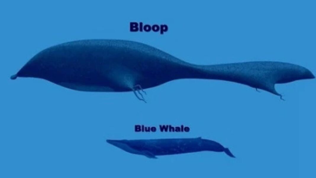 The Bloop Sound: An Unidentified Deep-Sea Noise