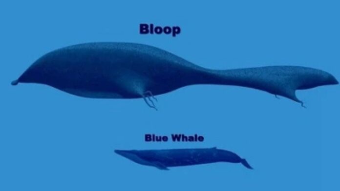 The Bloop Sound: An Unidentified Deep-Sea Noise