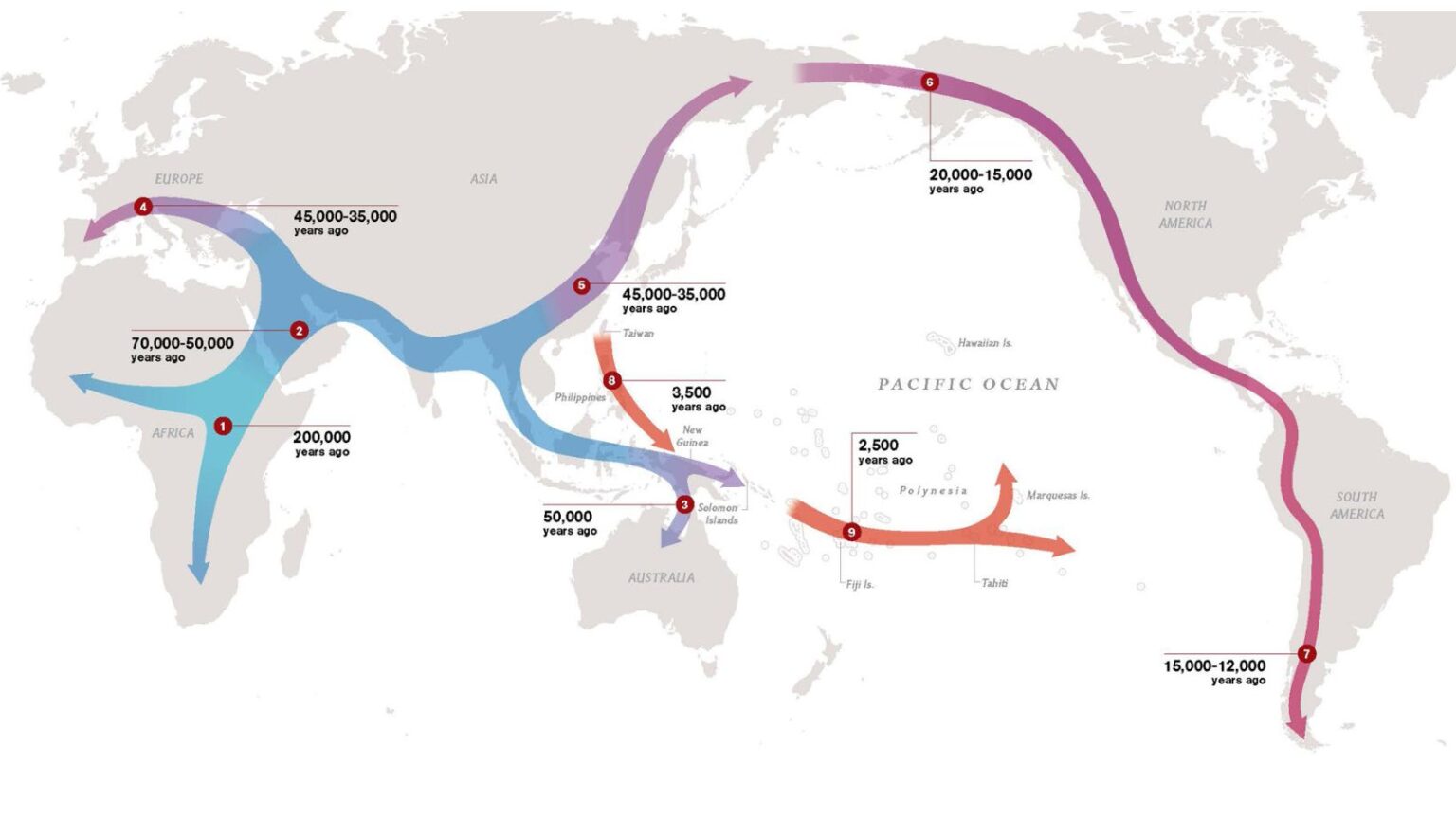 The History of Human Migration: How People Shaped the World