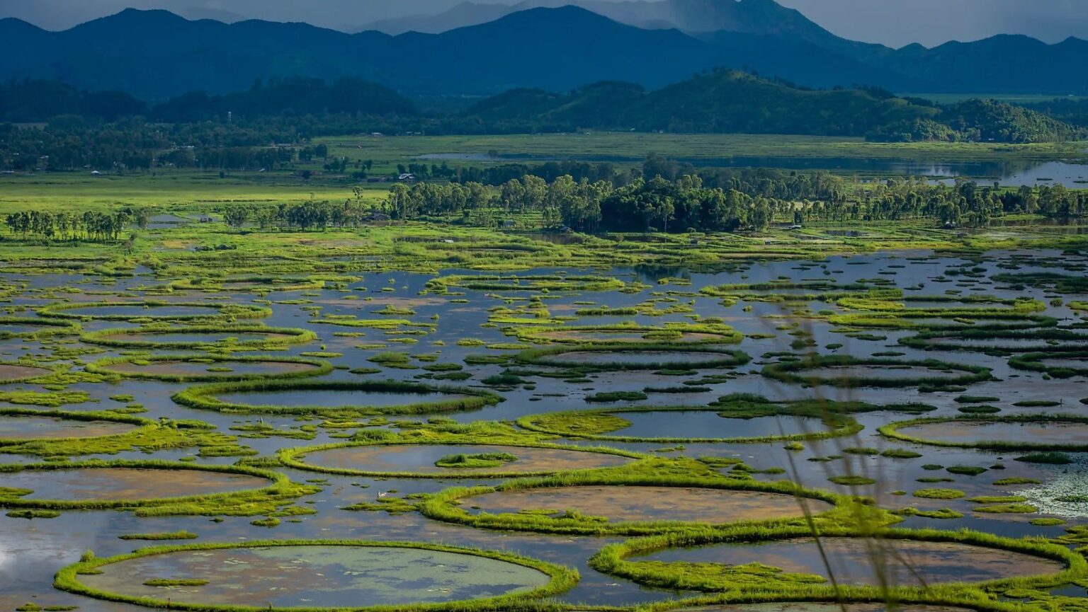 The Moving Islands of Loktak Lake: A Floating Puzzle